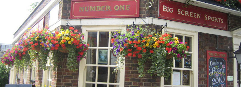 Majorplants Limited - Hanging Baskets Maintenance Service for pubs and ...